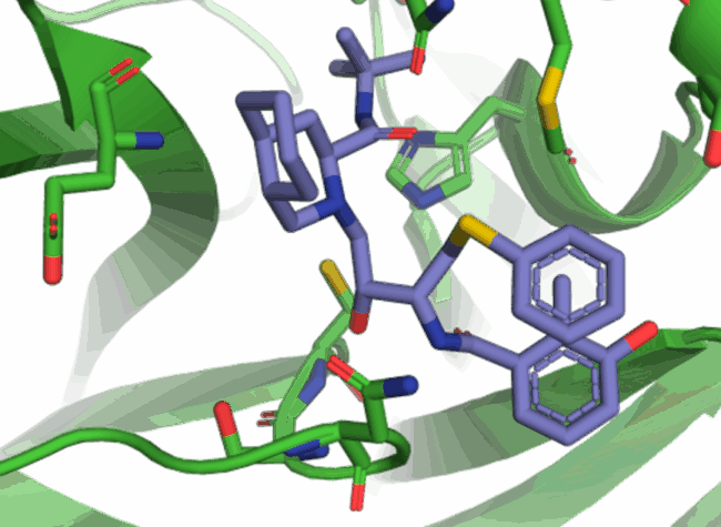 Ro5 Bioactivity Lab: Identification of Drug Candidates for COVID-19 ...